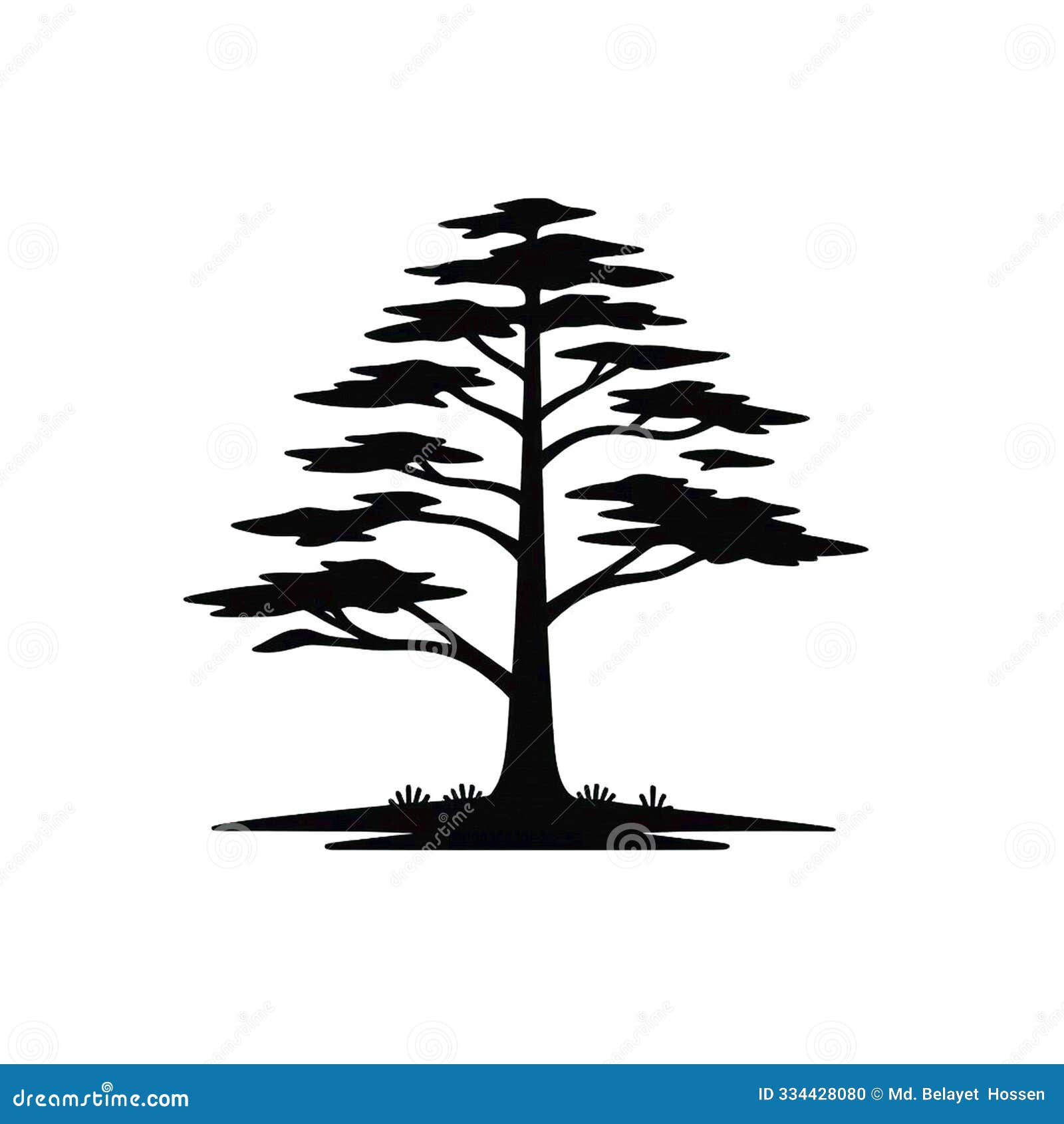 Cedar Tree Silhouette on White Background Stock Illustration ...