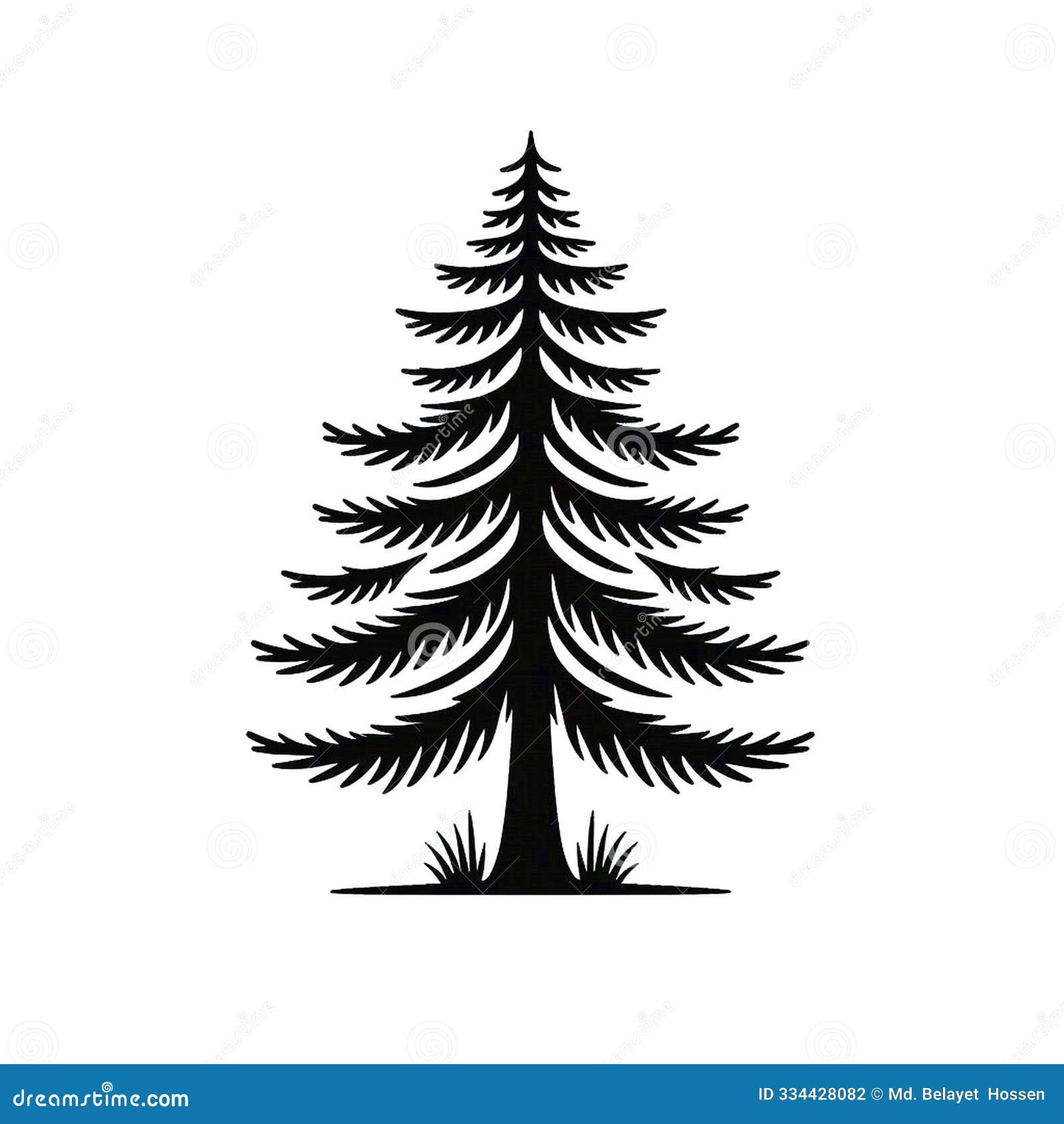 Cedar Tree Silhouette on White Background Stock Illustration ...