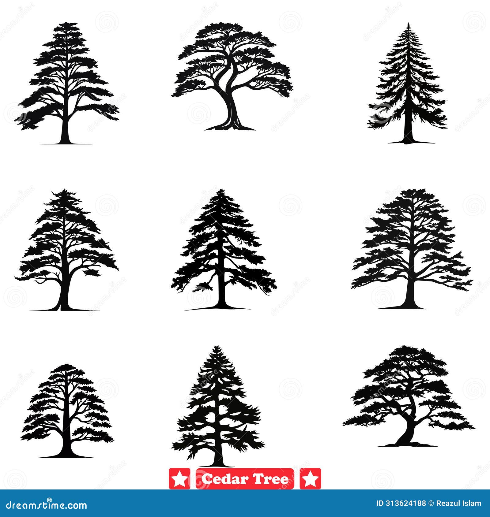 Cedar Tree Vector Collection Embrace the Serenity of Nature S Beauty ...