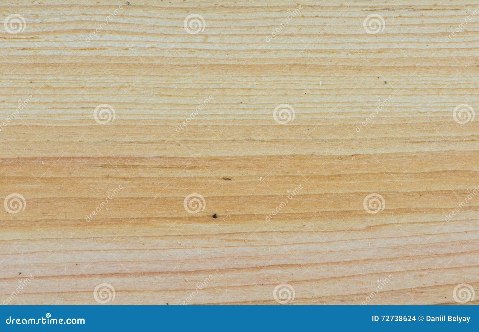 Cedar tree wood texture stock photo. Image of decorative - 72738624
