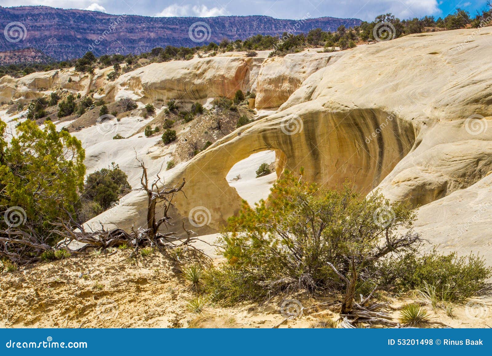 Cedar Wash Arch fotografia stock. Immagine di geologico - 53201498