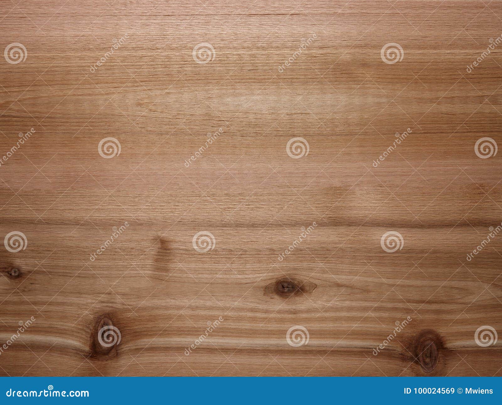 Cedar Wood Background Panel with Lighting Gradient Stock Image - Image ...