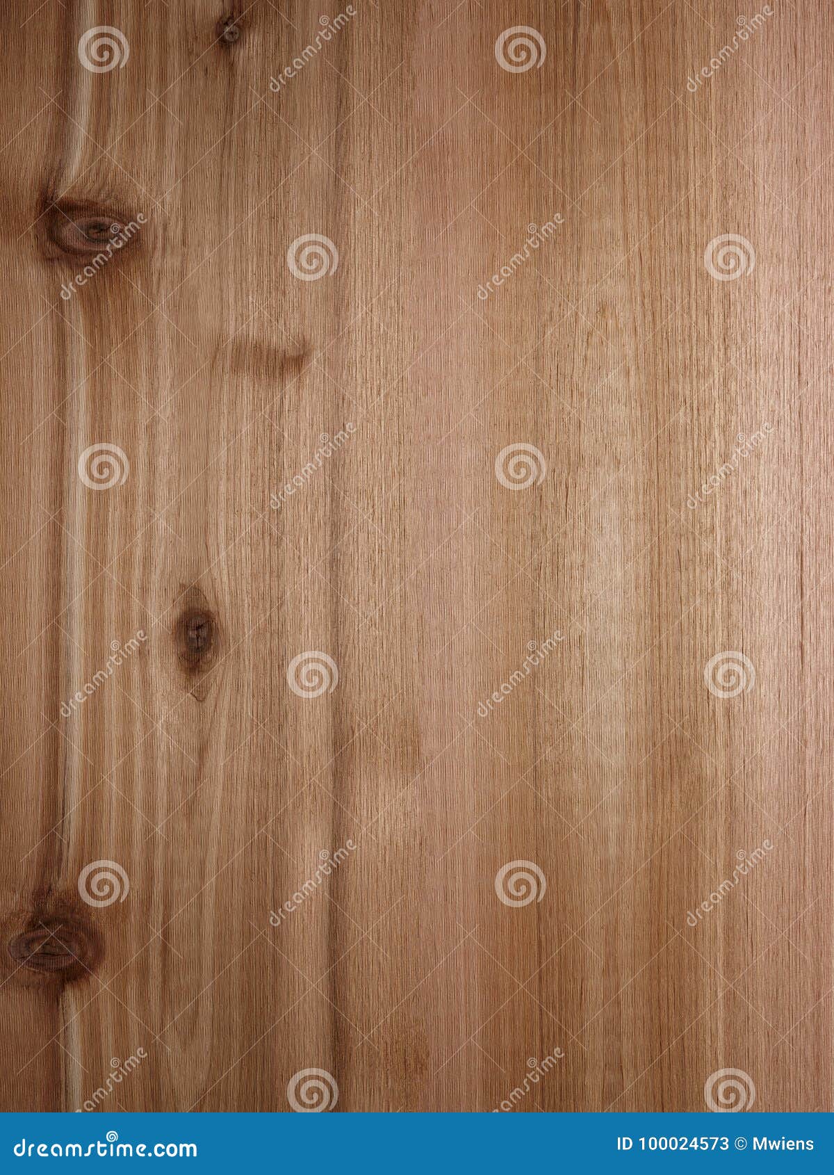 Cedar Wood Background Panel with Lighting Gradient Stock Image - Image ...
