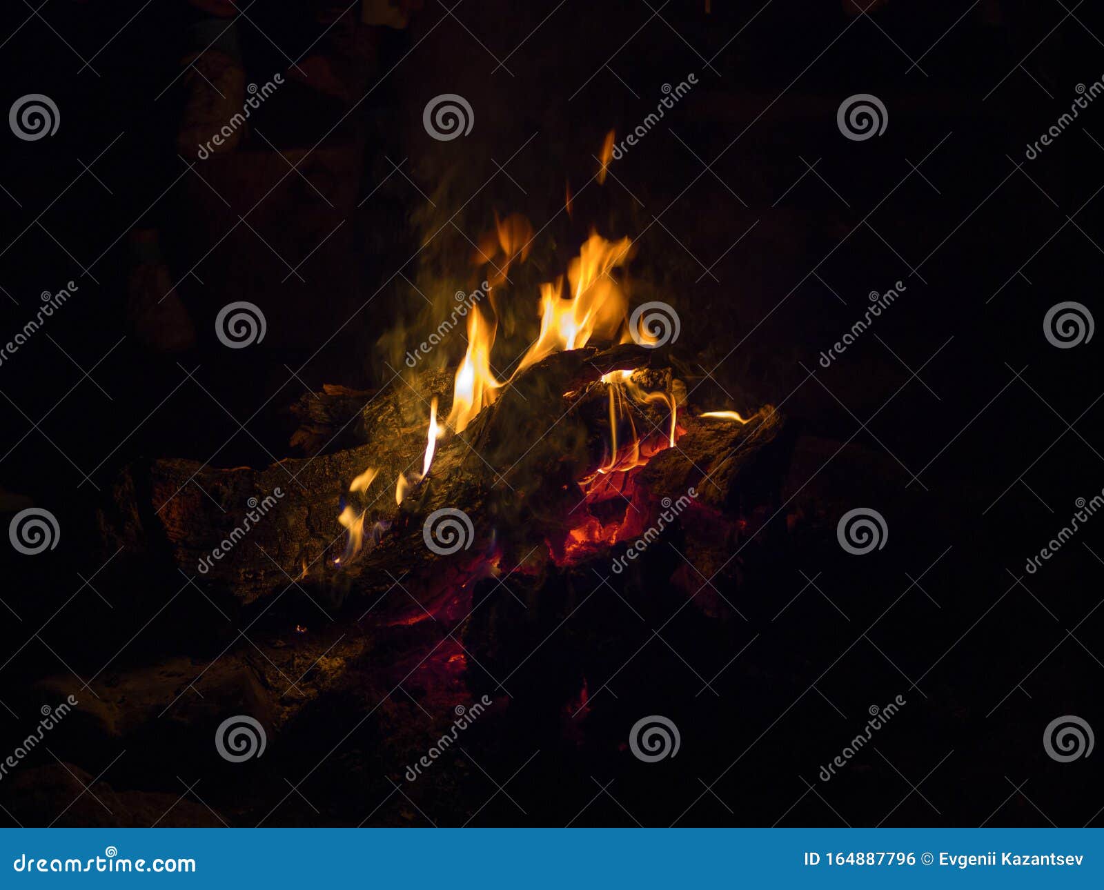 Cedar Wood Burns in a Fire in the Dark Stock Photo - Image of wild ...