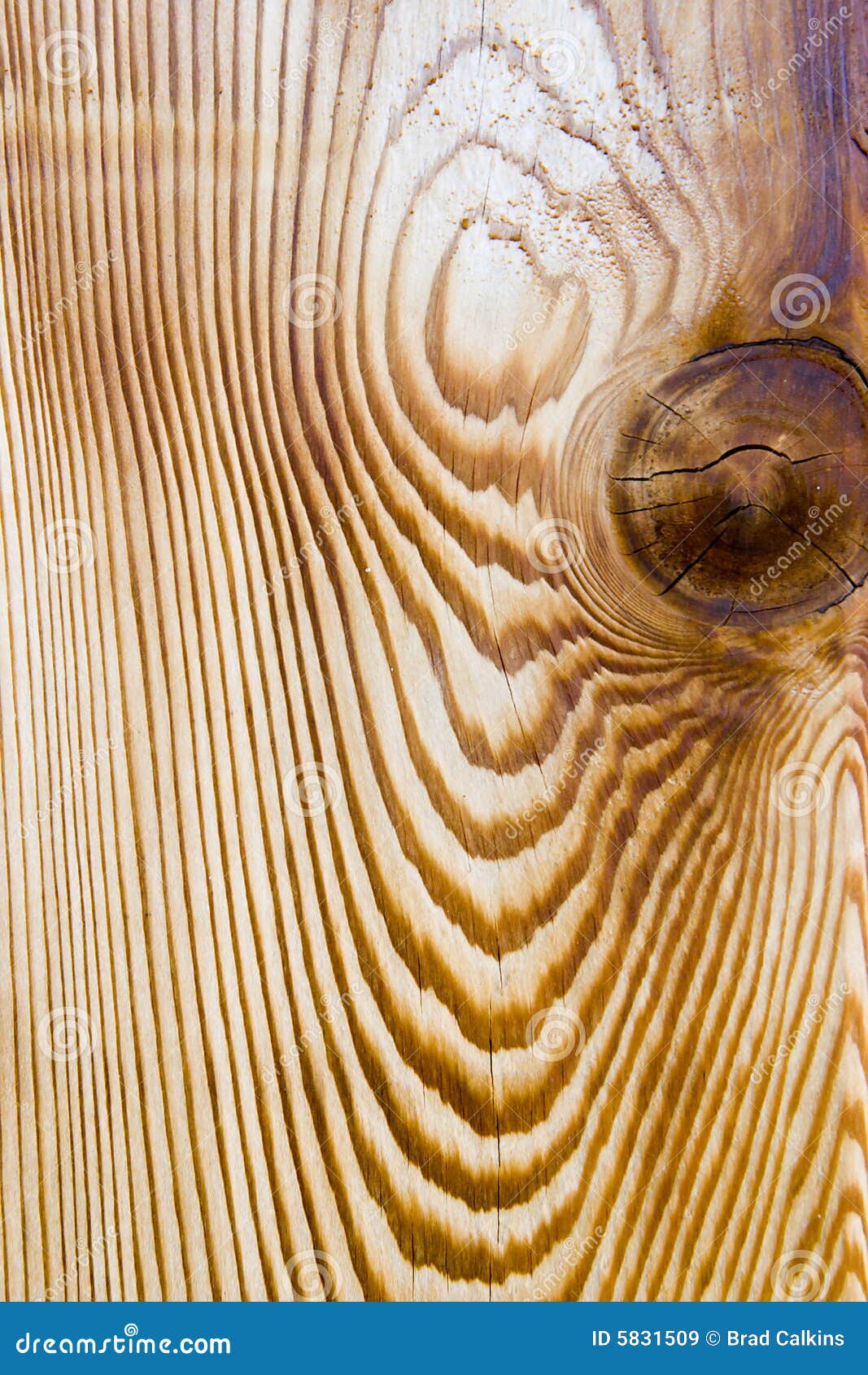 Cedar Board Texture Royalty-Free Stock Image | CartoonDealer.com #18720388