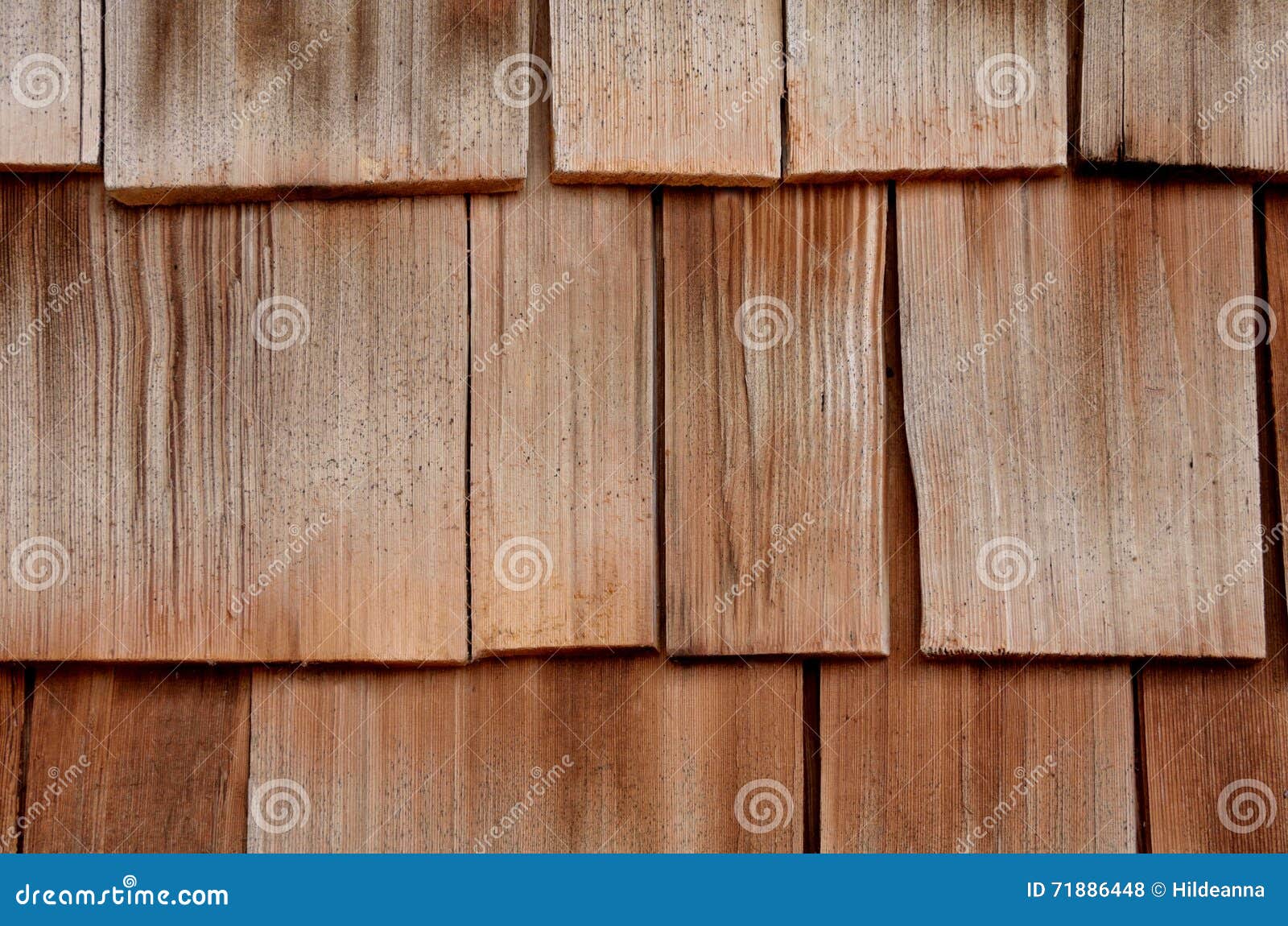 Cedar Siding Texture