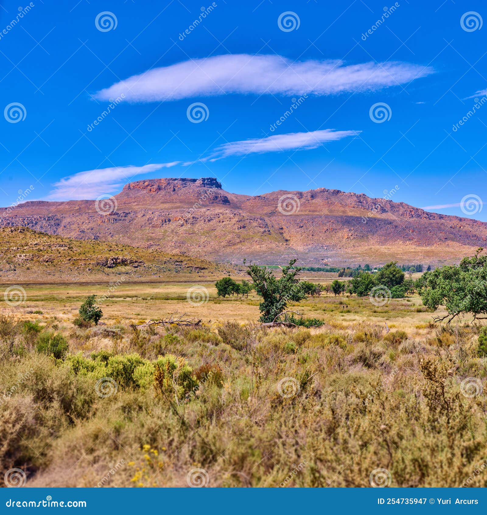 Cedarberg Wilderness Area - South Africa Stock Image - Image of ...