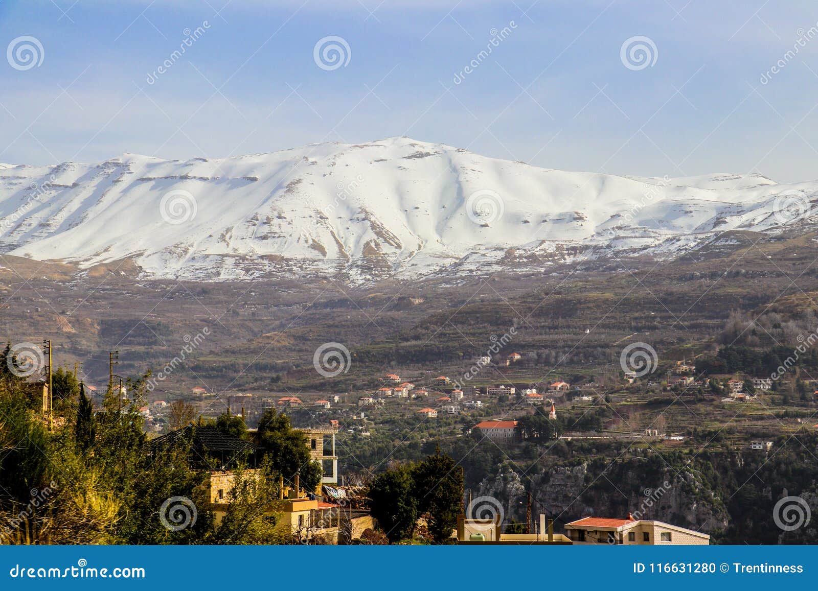 The Cedars in Lebanon in the Winter of 2018 Stock Photo - Image of ...