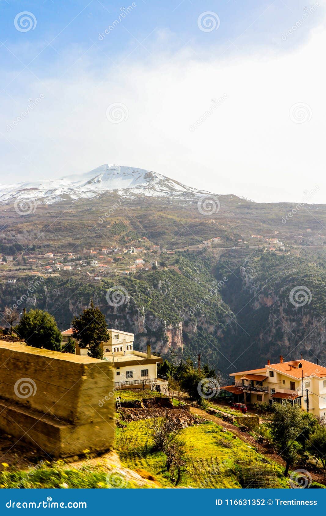 The Cedars in Lebanon in the Winter of 2018 Stock Photo - Image of flag ...