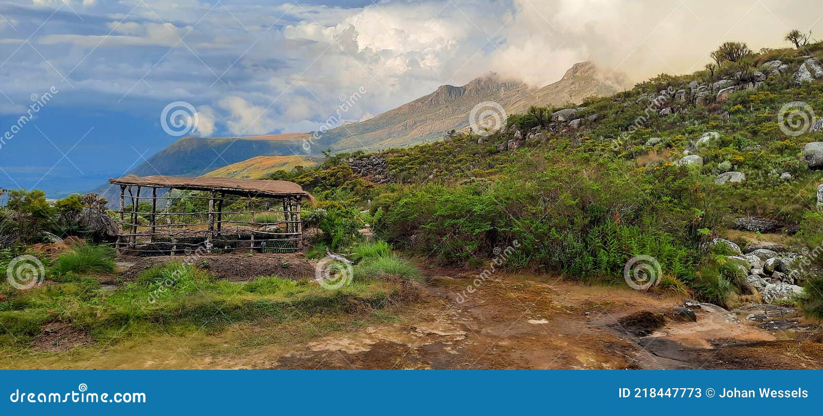 Ceder Nursery in Mount Mulanje Stock Image - Image of granite, safari ...