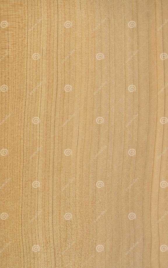 Ceder wood veneer texture stock image. Image of carpentry - 18613945