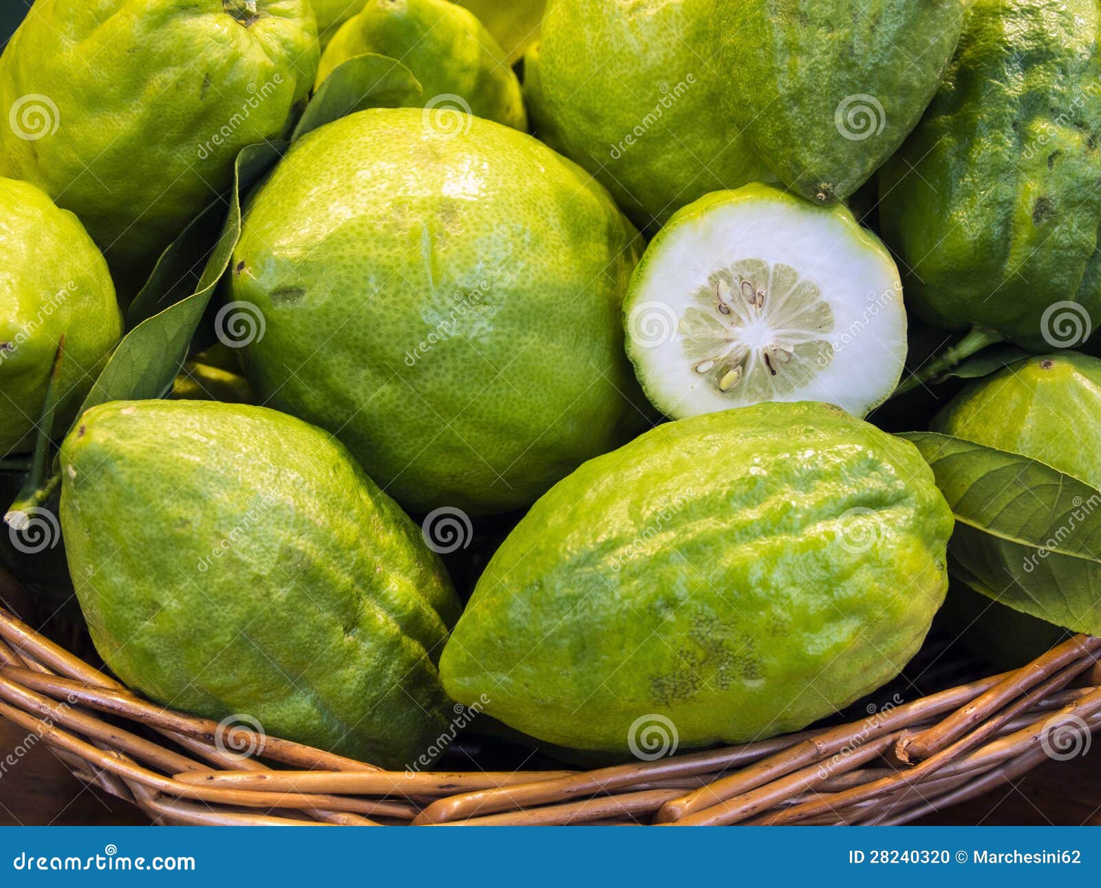 Cedro fotografia stock. Immagine di sano, limone, esotico - 28240320