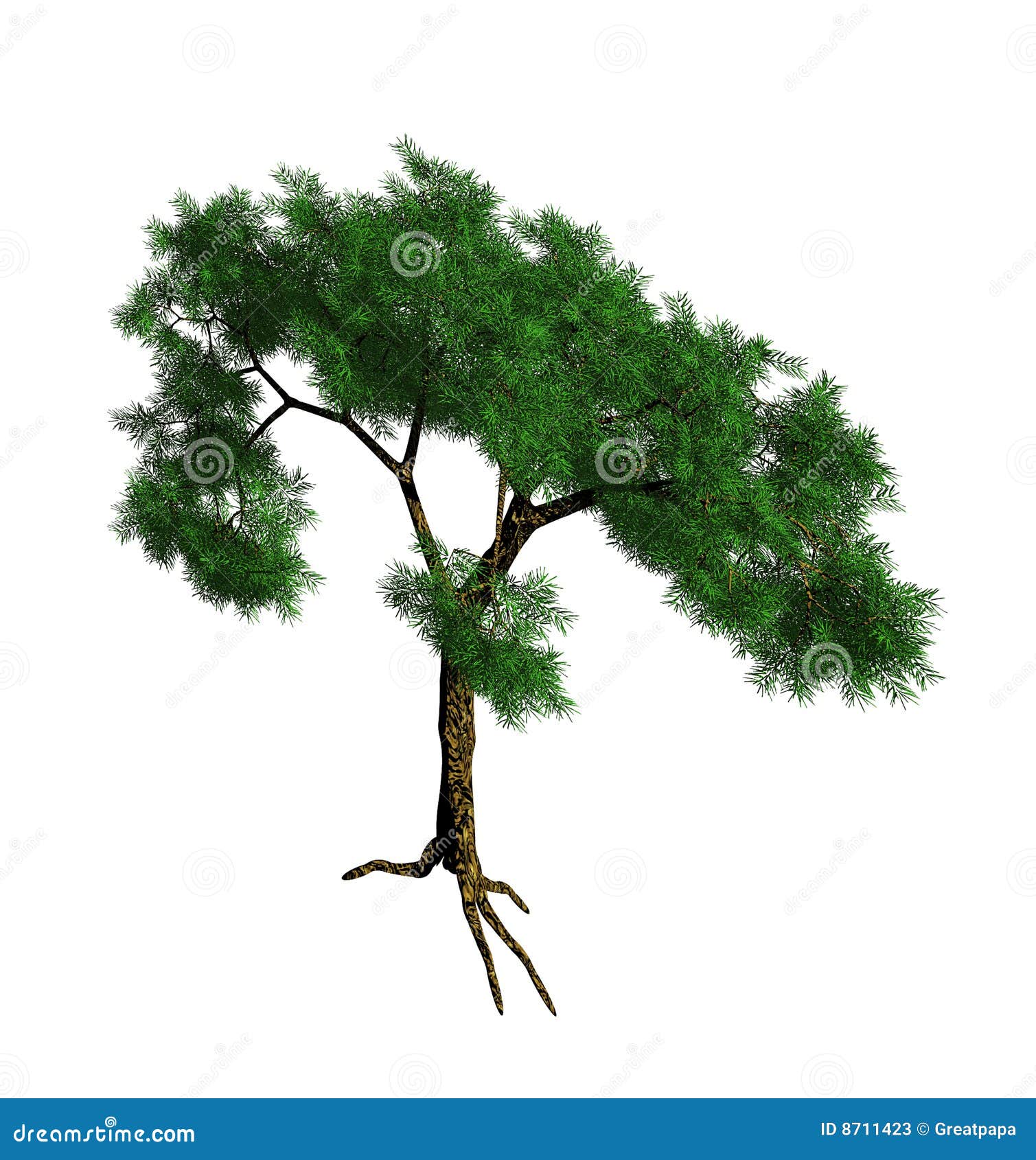 Cedro verde 3d stock de ilustración. Ilustración de madera - 8711423