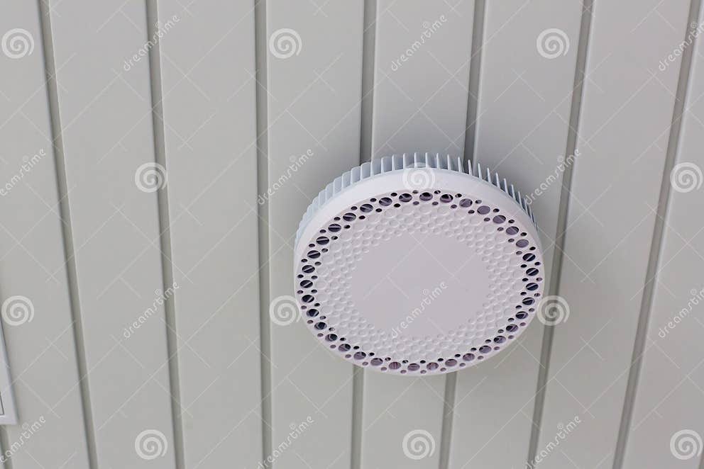 Ceiling Access Point Wifi. Wireless Router for Network,hang on the ...