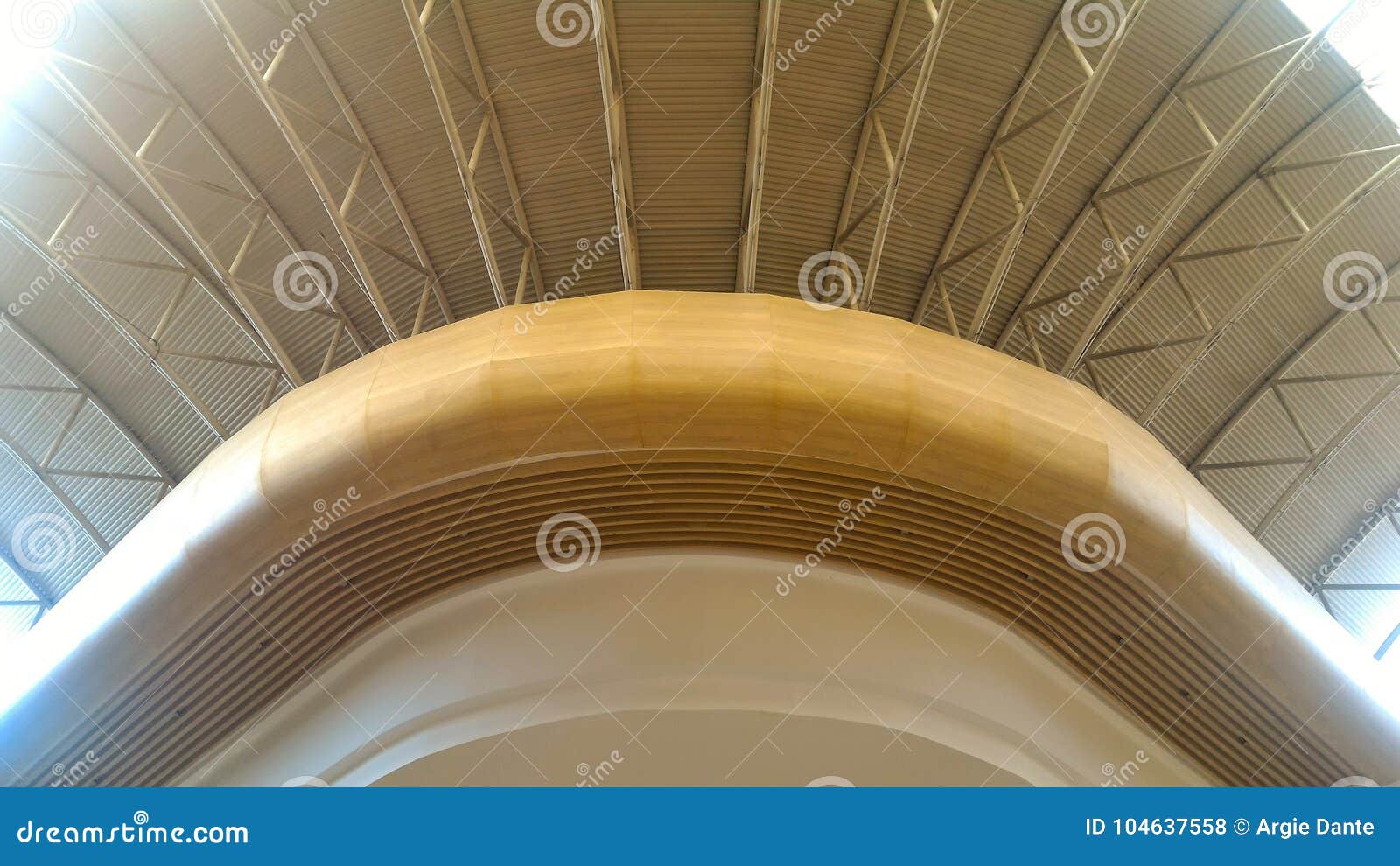 Ceiling Architecture, Curvature, Flexibility Stock Photo - Image of ...