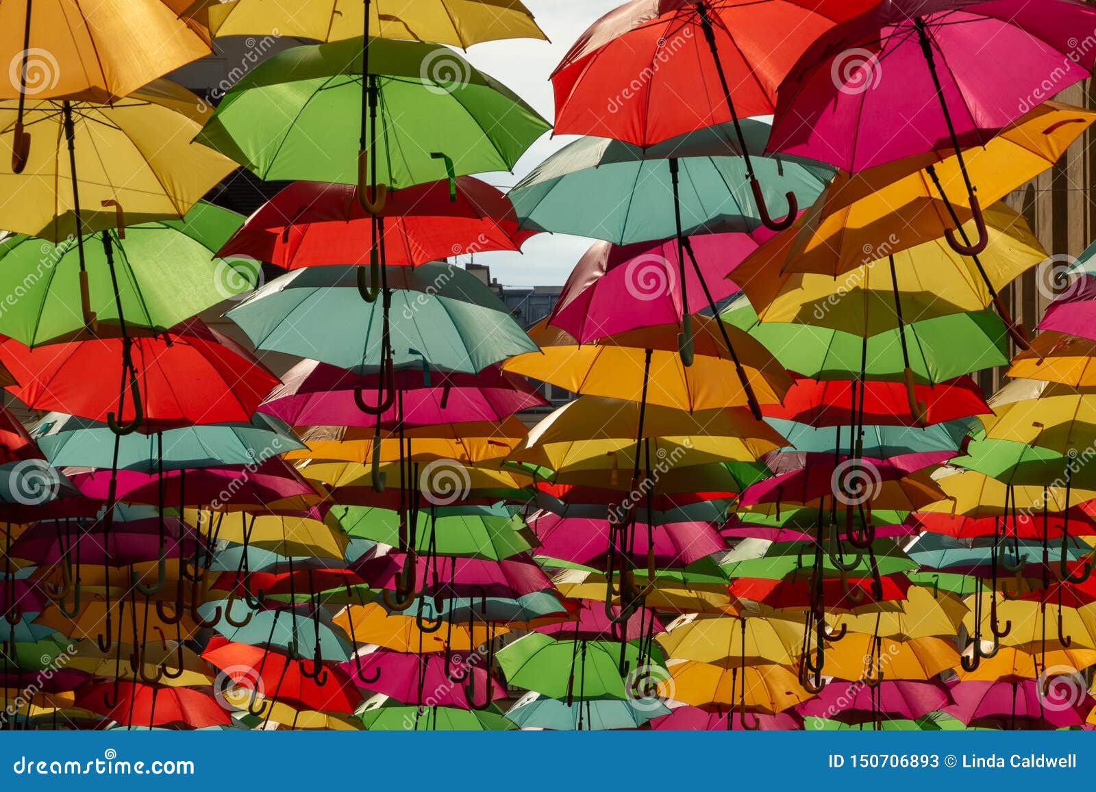 Ceiling of Brightly Colored Umbrellas Editorial Stock Photo - Image of ...