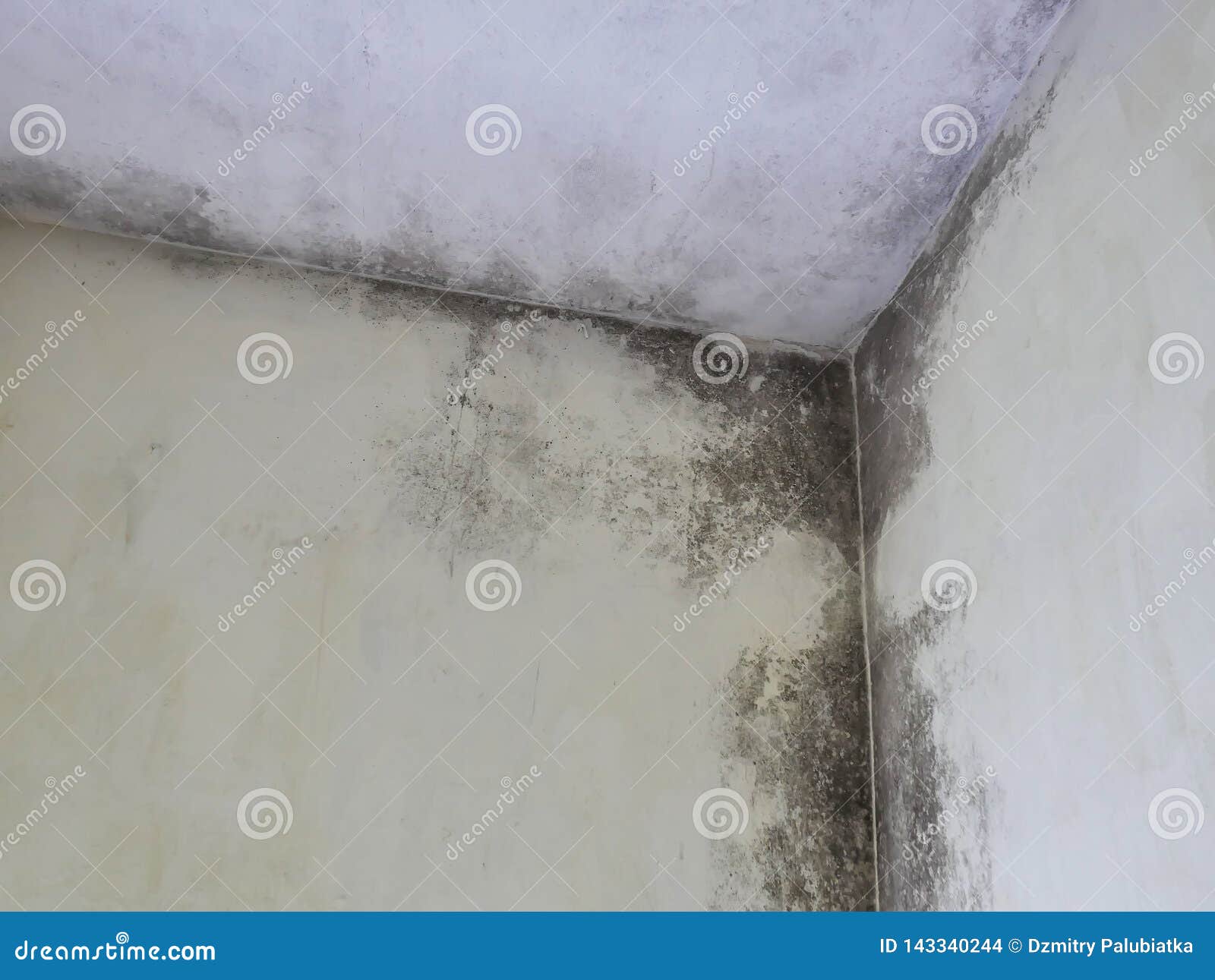 The Ceiling is Covered with Mold Stock Photo - Image of covered, repair ...