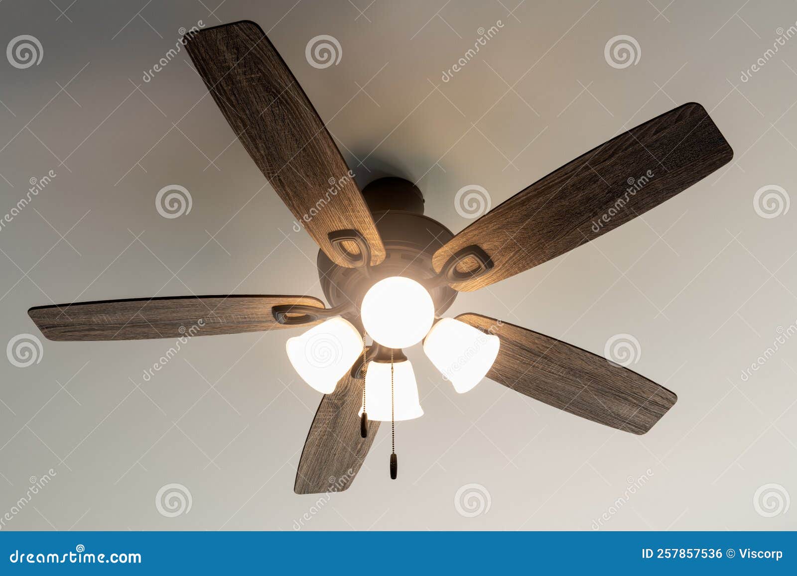 Ceiling Fan in Motion stock photo. Image of accessory - 257857536