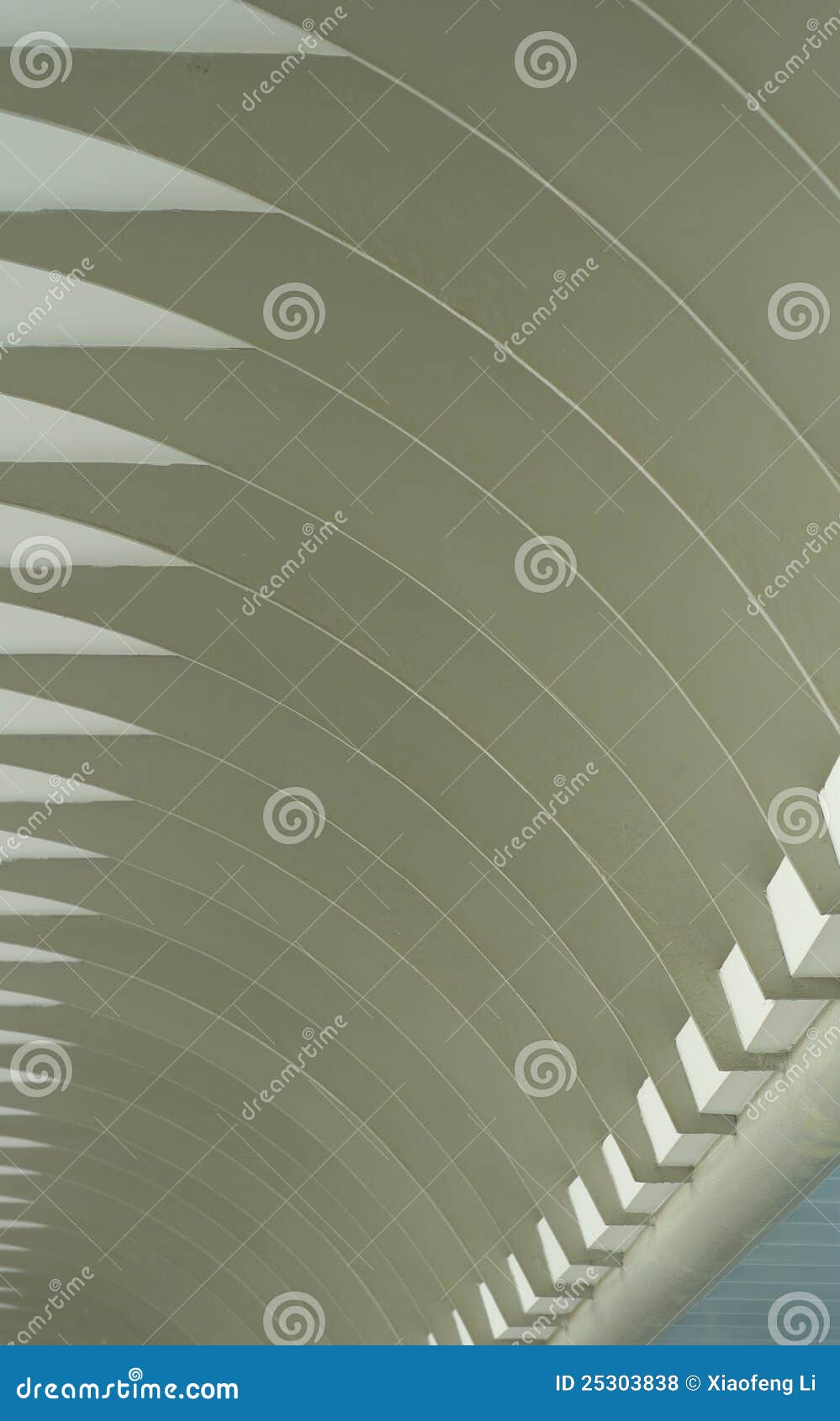Ceiling of Interesting Forms Stock Photo - Image of arts, modern: 25303838