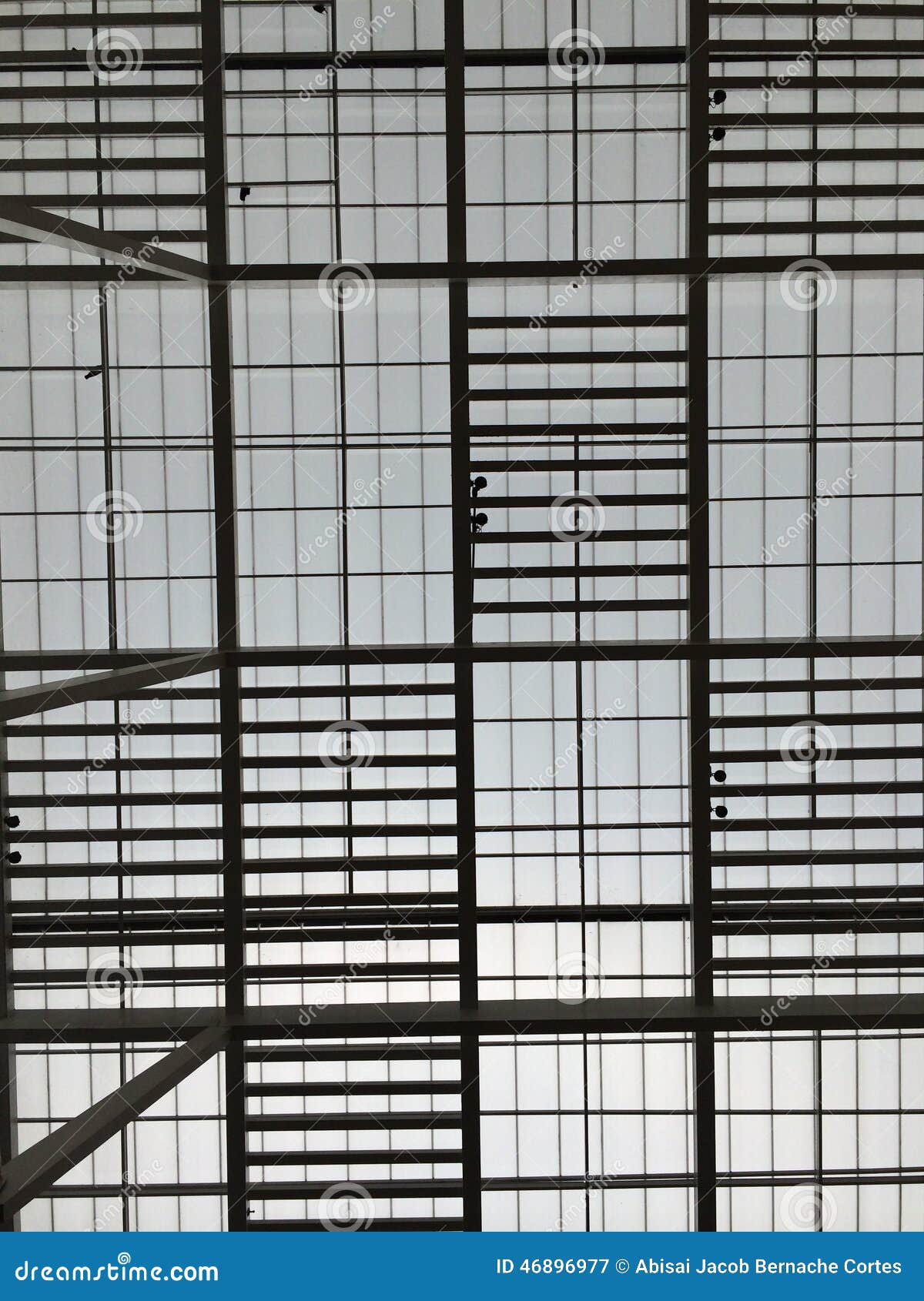 Ceiling lines stock image. Image of creating, roof, neas - 46896977