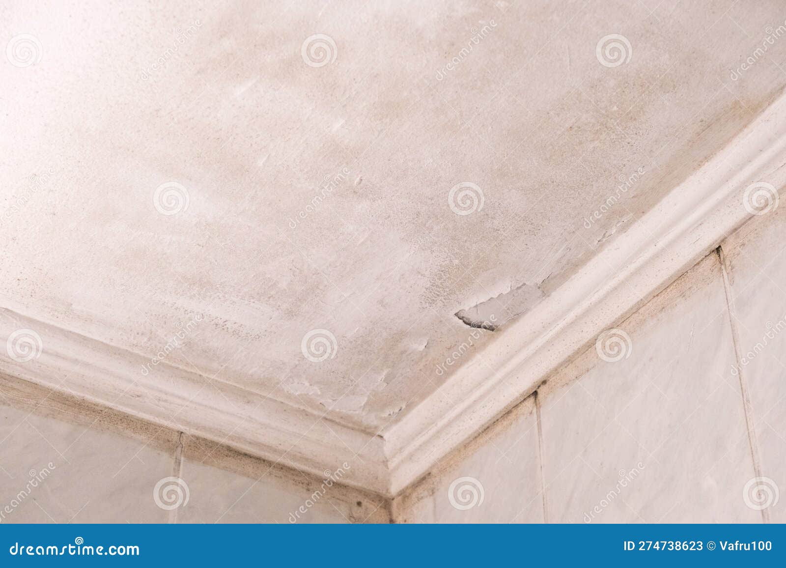 The Ceiling is Moldy.Surface in Mold. Light Wall in the Room in Mold ...