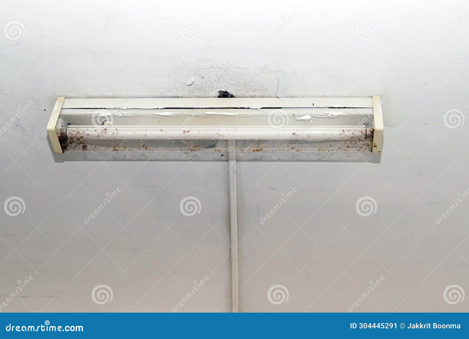 A Ceiling Neon Lights on the White Ceiling Wall Stock Image - Image of ...