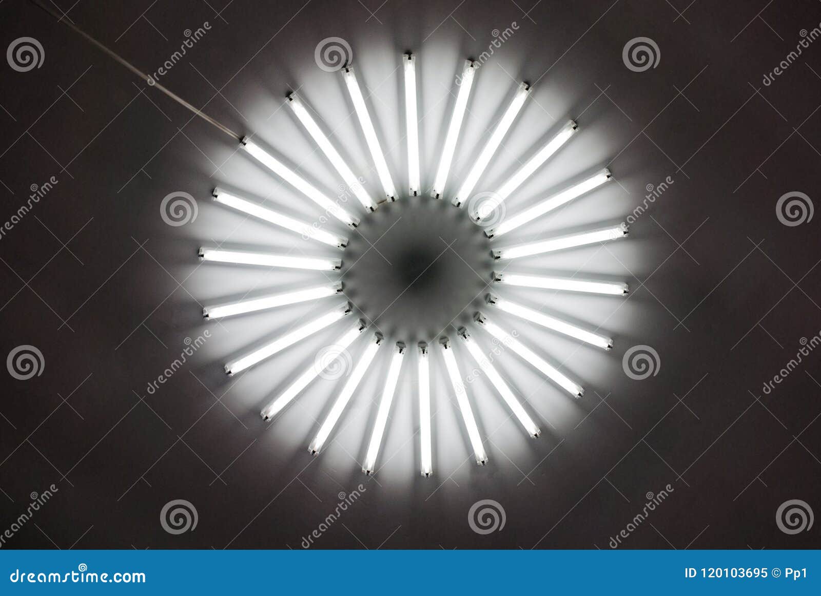 Ceiling Round Lighting Light Lamp Neon Tubes Circle Glowing In Dark ...
