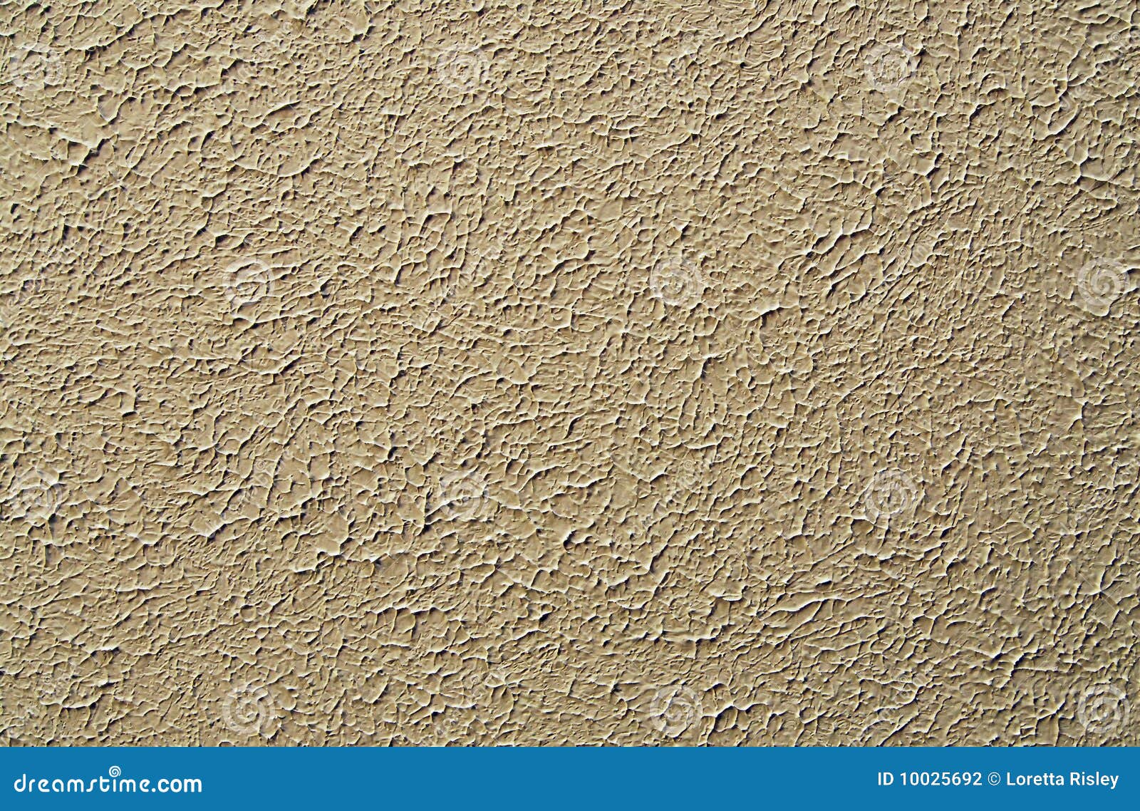 Ceiling texture stock photo. Image of earthy, beige, light - 10025692