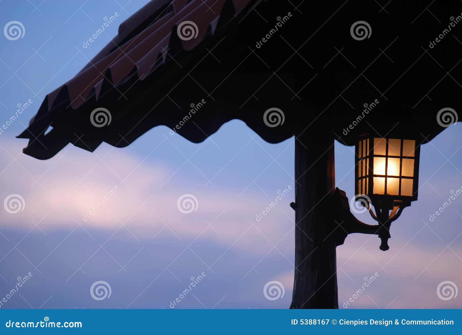 Ceiling Under Moonlight At Dusk Picture. Image: 5388167