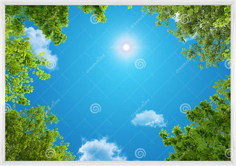 Ceiling Wallpapers with Blue Sky, Clouds, Sun, Tree Branches - 3d ...