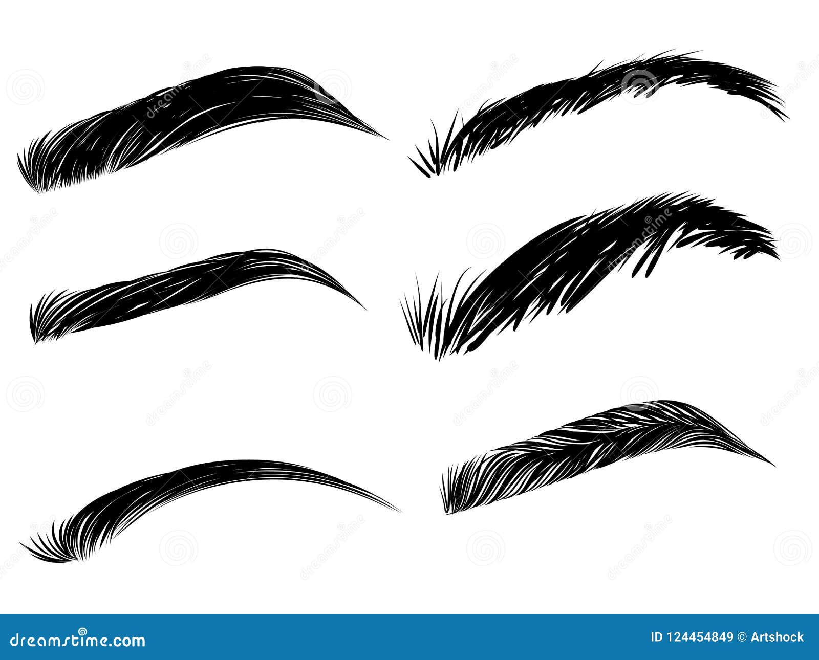 Cejas detalladas fijadas ilustración del vector. Ilustración de ...