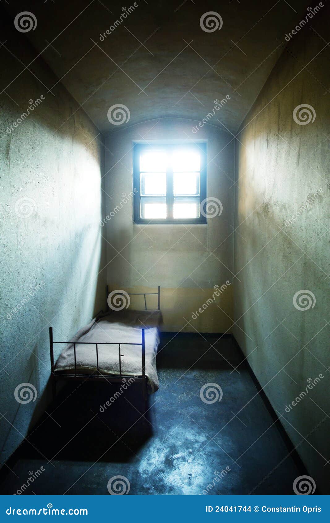 Cela foto de stock. Imagem de cadeia, crimes, quarto - 24041744