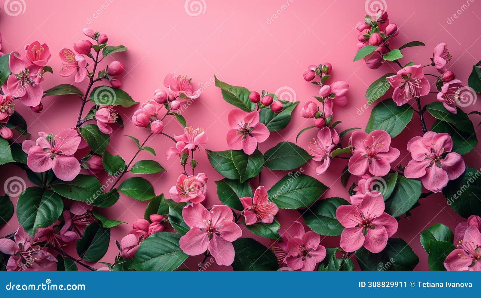 Versatile Spring Card Template Suitable for Various Occasions. Stock ...