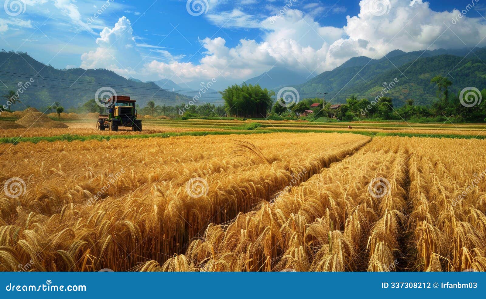 ÿþCelebrate the Essence of Agriculture with Stunning Visuals Stock ... ÿþCelebrate the Essence of Agriculture with Stunning Visuals Stock ...