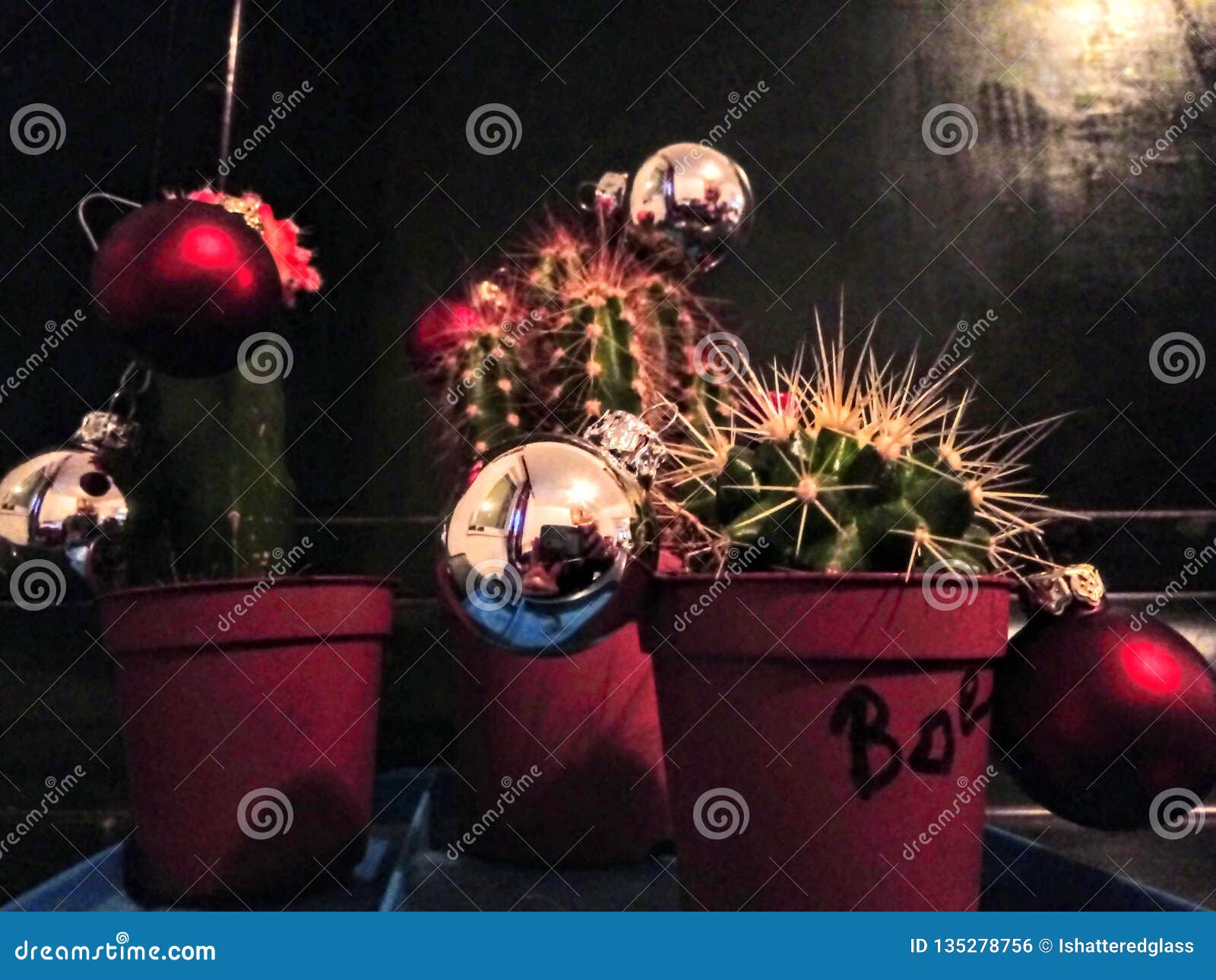 Celebrating plants stock photo. Image of celebrating - 135278756