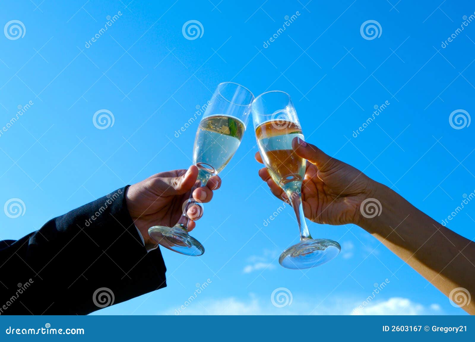 Celebrating with a toast stock image. Image of celebrate - 2603167