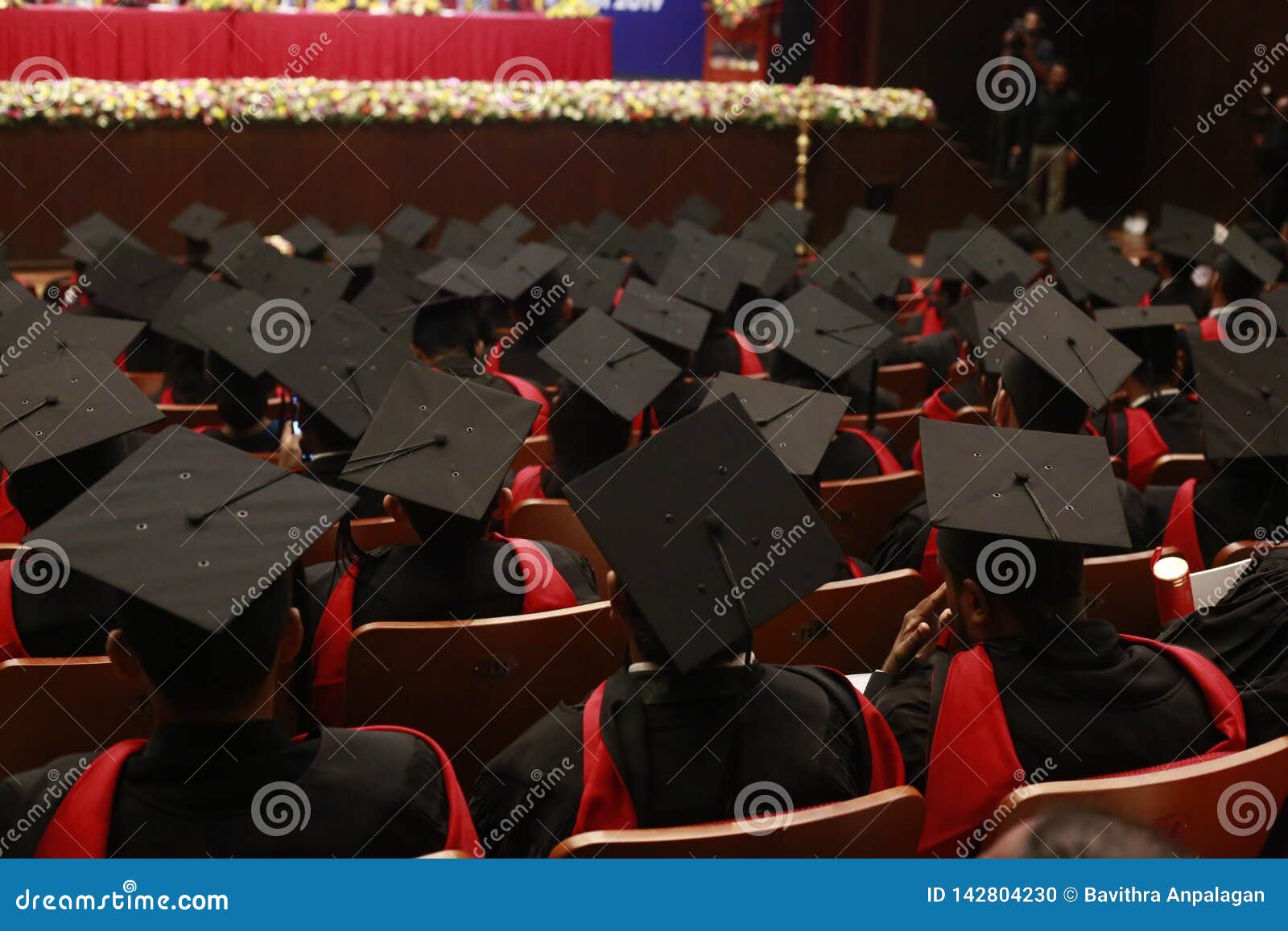 Celebration Education Graduation Student Success Learning Concept ...