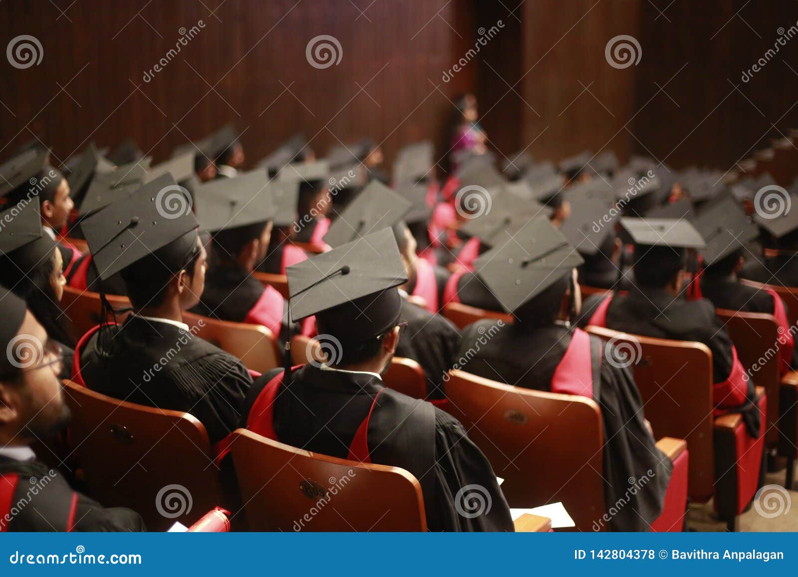 Celebration Education Graduation Student Success Learning Concept ...