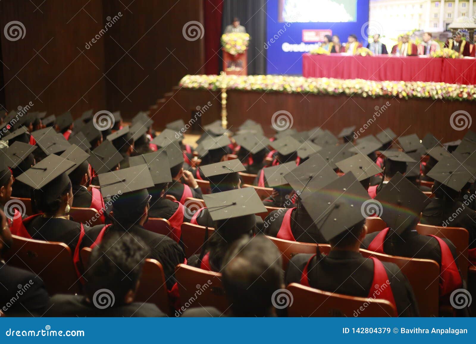 Celebration Education Graduation Student Success Learning Concept ...