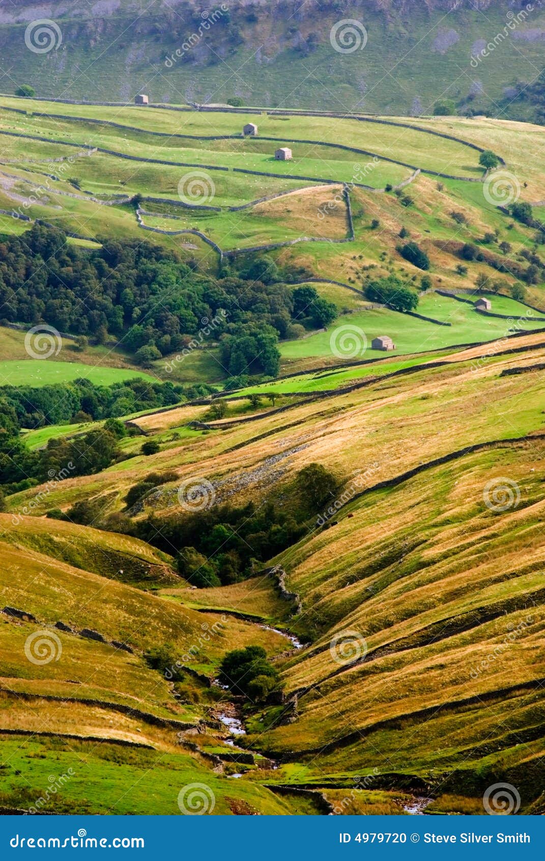 Celeiros, Paredes E Beck De Swaledale Foto de Stock - Imagem de madeira ...
