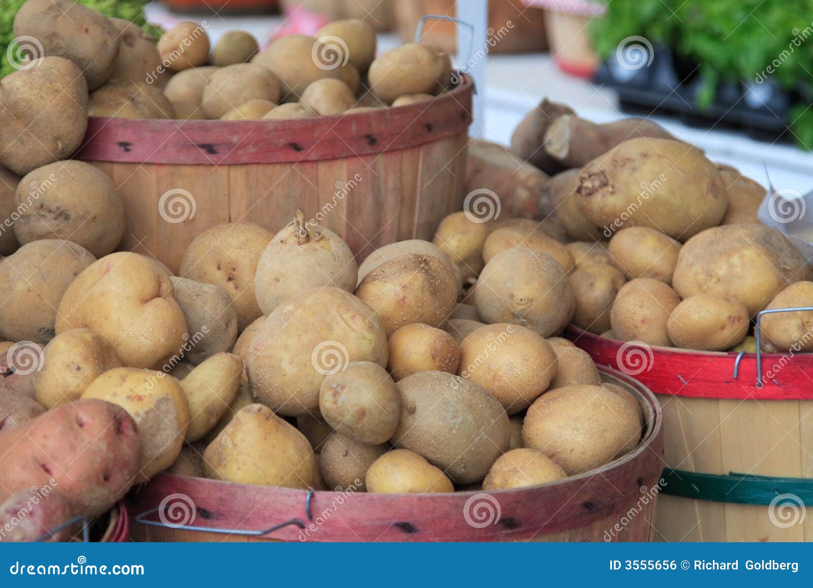 Celemines de patatas foto de archivo. Imagen de campo - 3555656