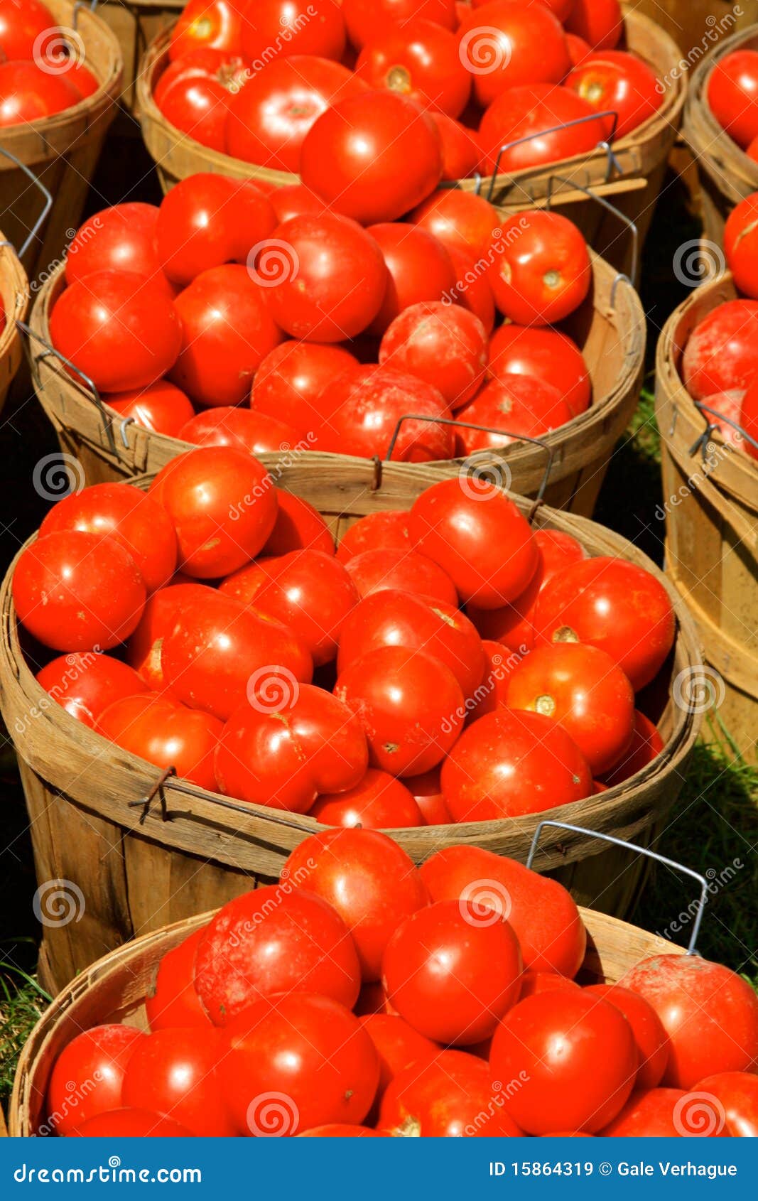 Celemines de tomates imagen de archivo. Imagen de completo - 15864319