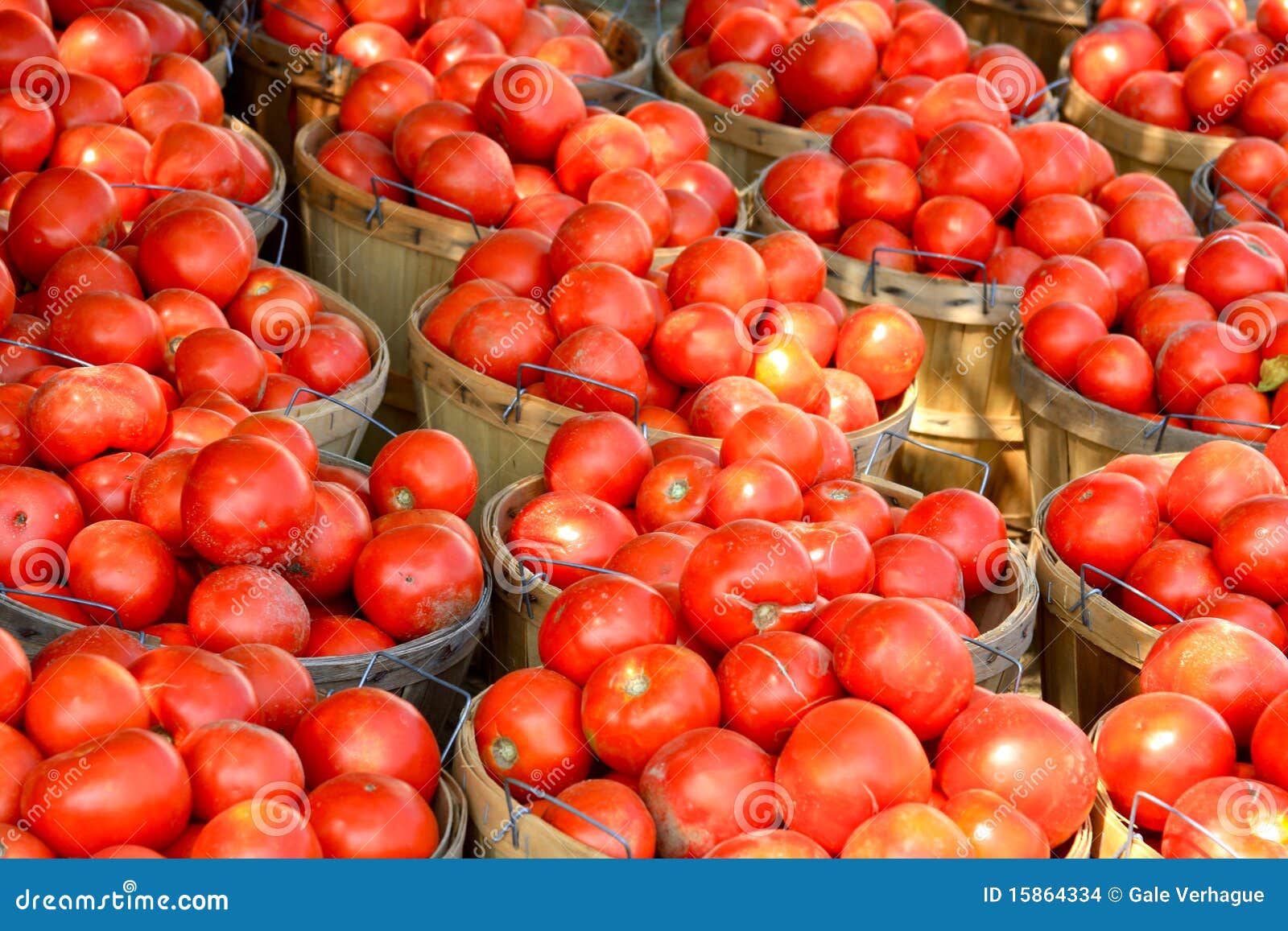 Celemines de tomates foto de archivo. Imagen de rojo - 15864334
