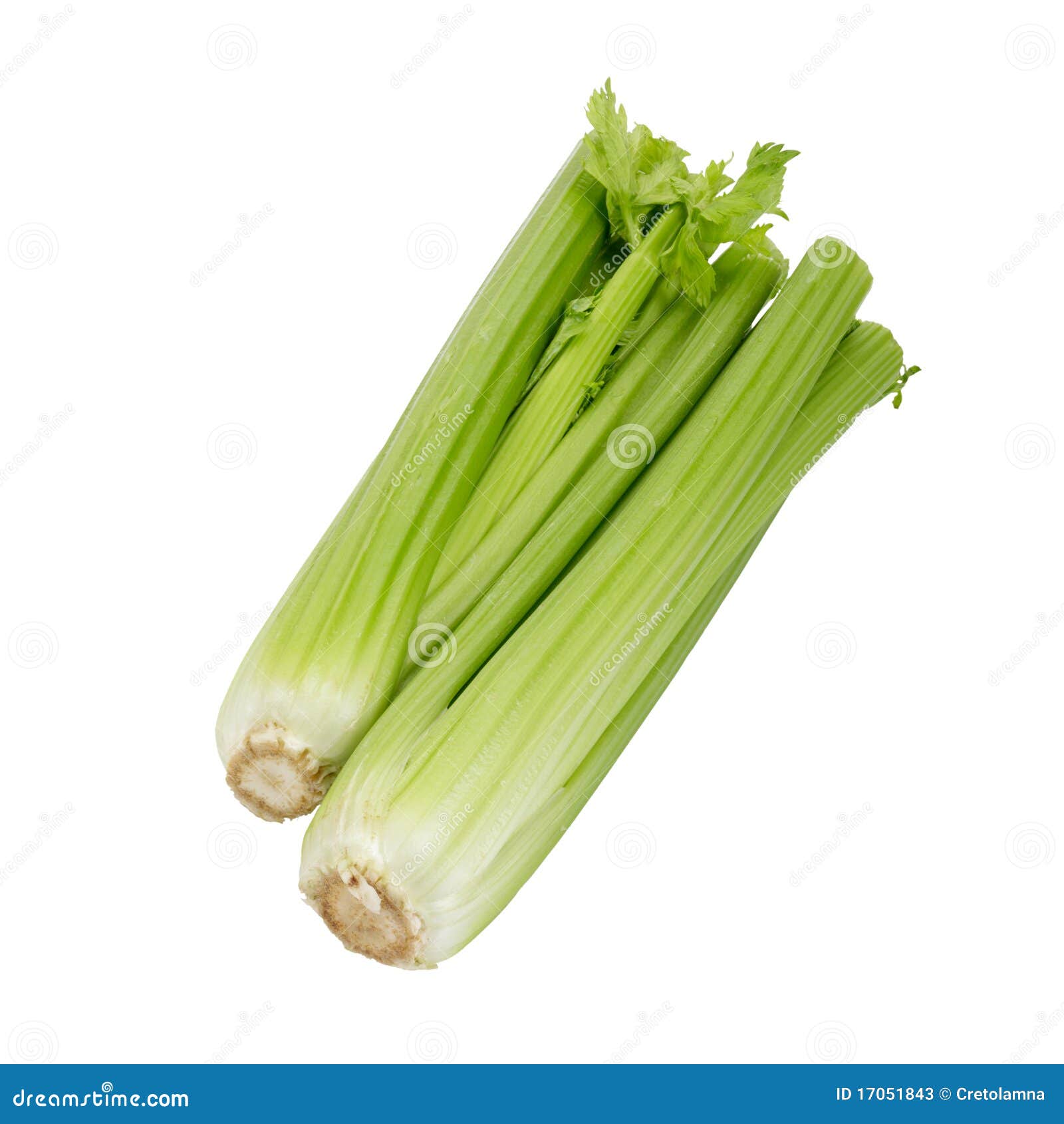 Celery. stock image. Image of white, vegetables, celery - 17051843