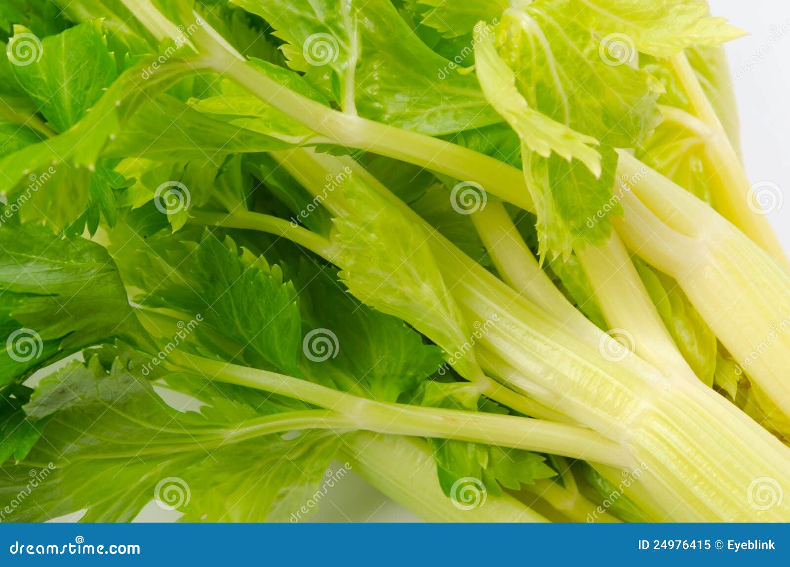 Celery stock image. Image of celeri, organic, cook, meal - 24976415
