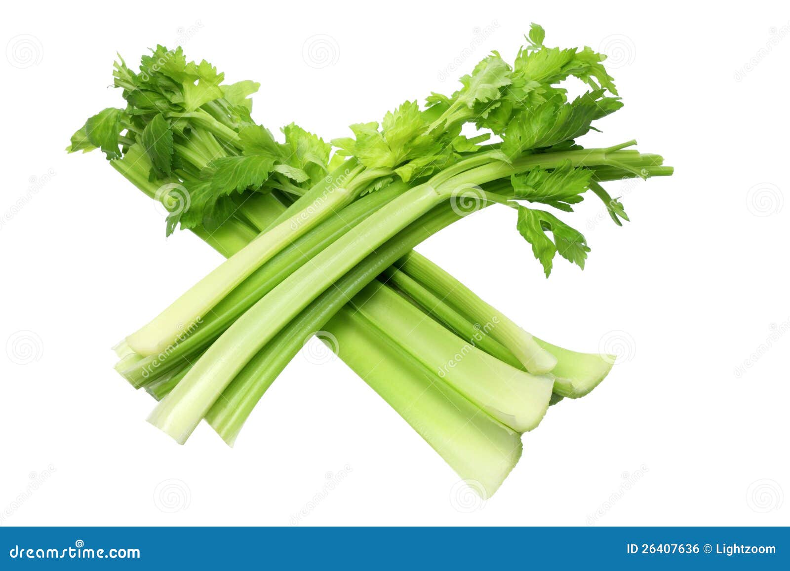 Celery stock photo. Image of plant, studio, stick, nutritious - 26407636