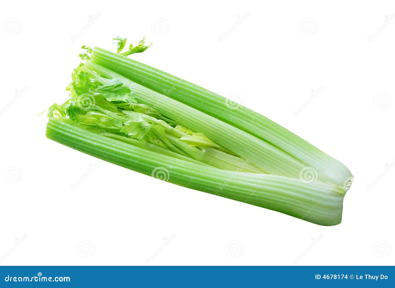 Celery stock photo. Image of vegetarian, nutritious, nutrition - 4678174