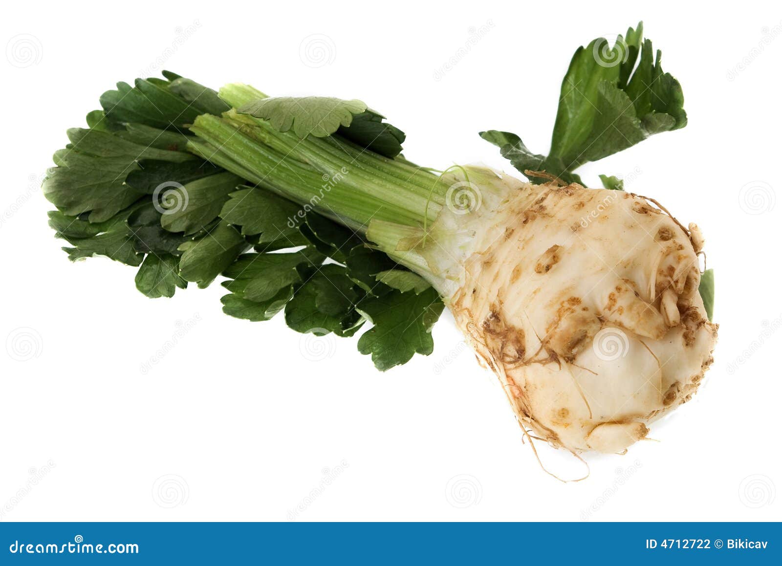 Celery stock photo. Image of healthy, green, fresh, herb - 4712722