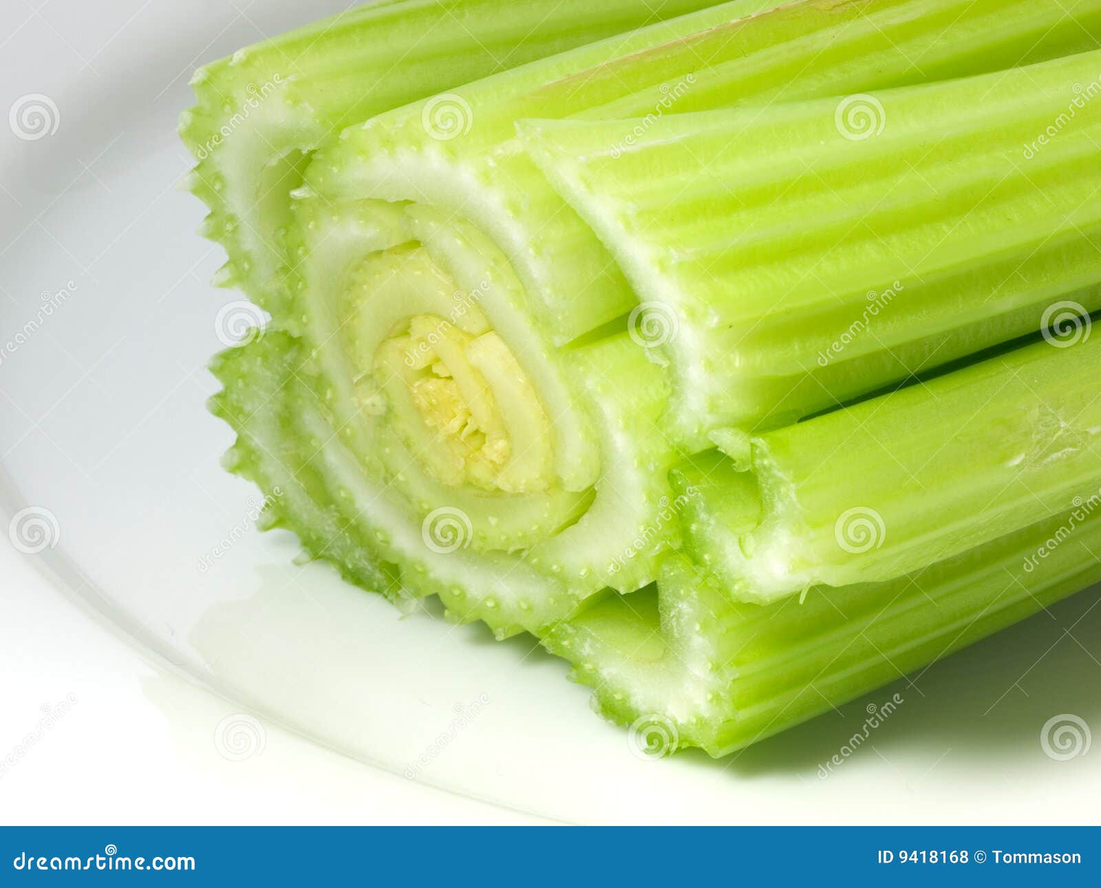 Celery stock photo. Image of vegetable, food, organic - 9418168