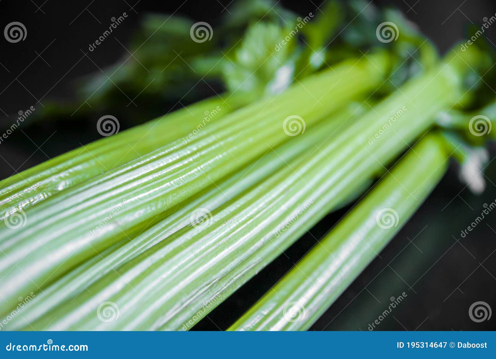 Celery Branch Bunch Isolated on Black Stock Image - Image of diet ...